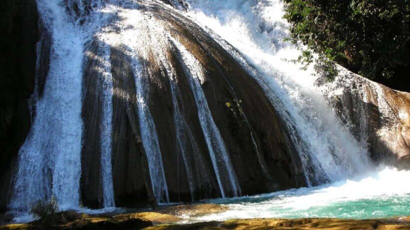 From Tuxtla Gutierrez: Palenque & Chiapas 4-Day Tour - Key Points