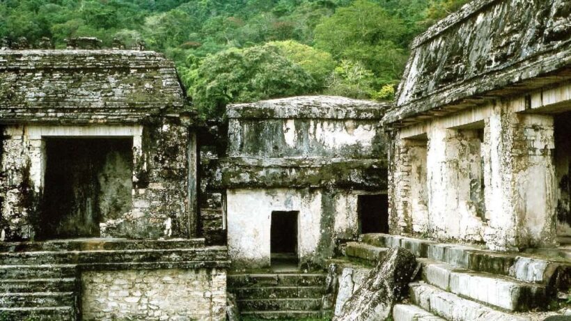 From Tuxtla Gutierrez: Palenque & Chiapas 4-Day Tour - An In-Depth Look at the 4-Day Experience
