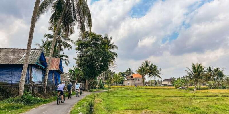 From Ubud: Downhill Bike Tour with Rice Terraces and Meal - Key Points