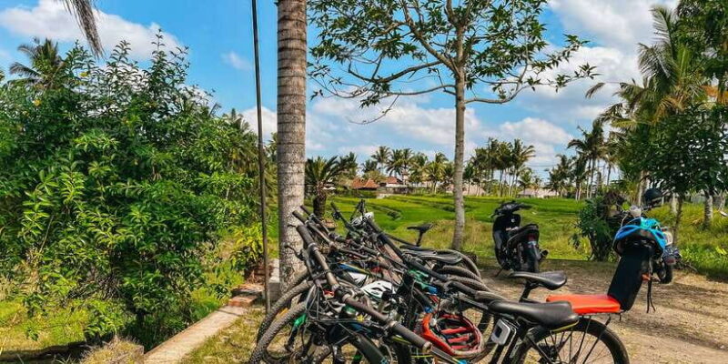 From Ubud: Downhill Bike Tour with Rice Terraces and Meal - The Sum Up