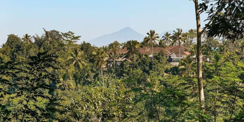 From Ubud: Downhill Bike Tour with Rice Terraces and Meal - FAQ