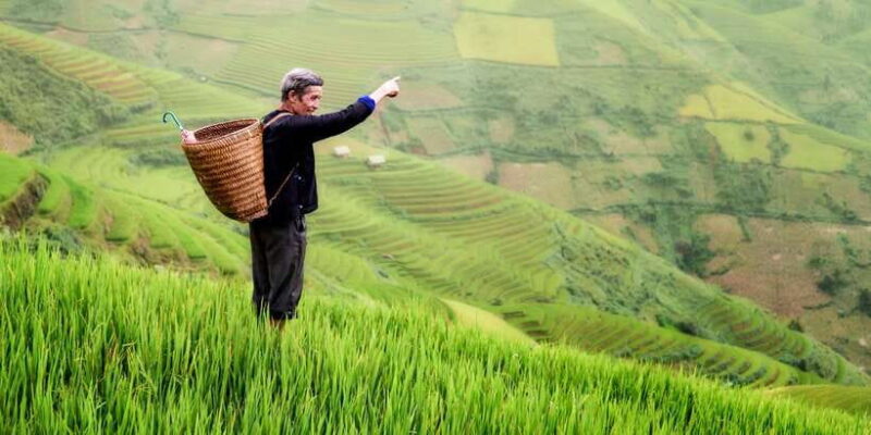 From Ubud: Evening Firefly Tour in Taro Village - Who Will Love This Tour?