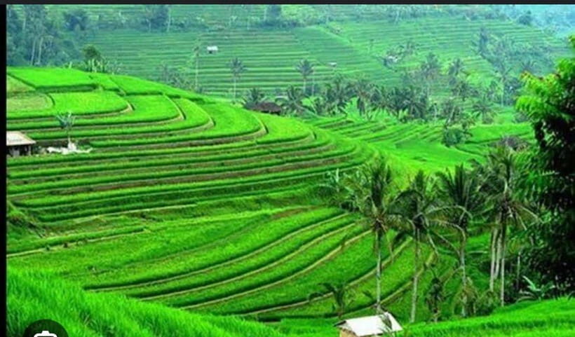 From Ubud: Tengkudak Village Guided Tour with Bird Spotting - FAQ