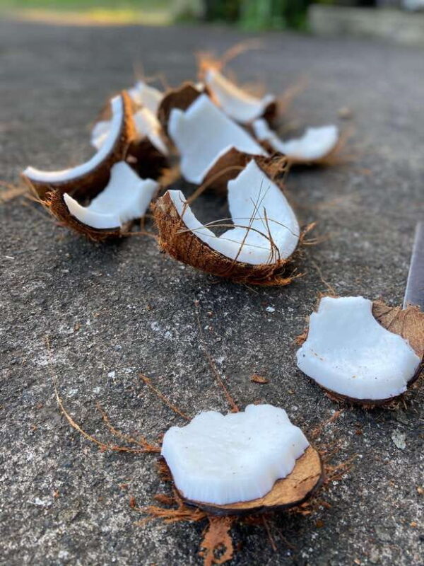 From Ubud: Traditional Bali Coconut Oil Class - Practical Details and Value