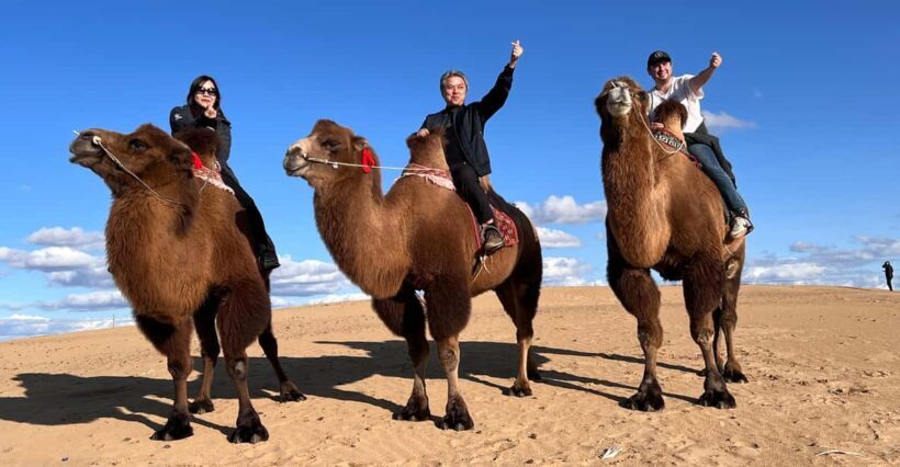From Ulaanbaatar: Central Mongolia Guided 3-Day Tour - Key Points