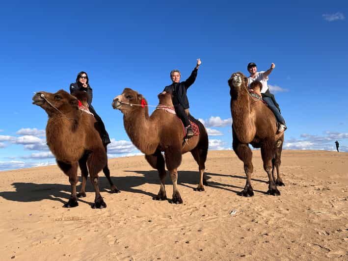 From Ulaanbaatar: Central Mongolia Guided 3-Day Tour - The Practicalities and Value