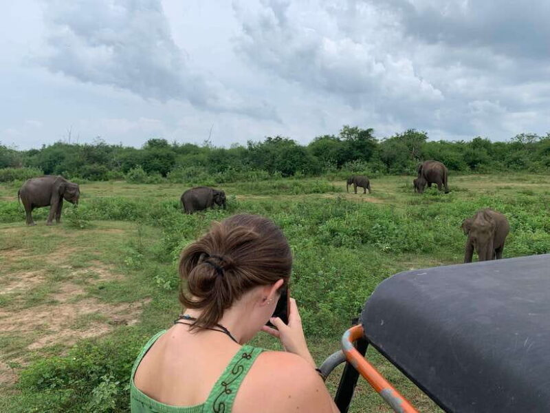 From Unawatuna: Udawalawe National Park Safari with transfer - Introduction