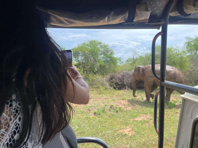 From Unawatuna: Udawalawe National Park Safari with transfer - Lunch and Local Culture: A Rest Stop with a View