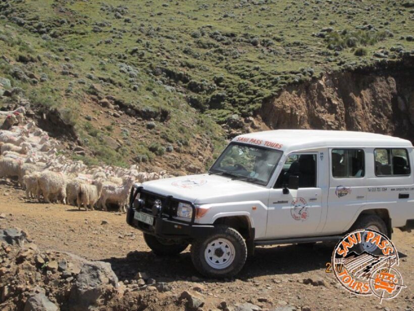 From Underberg: 4x4 Sani Pass Day Trip - FAQ
