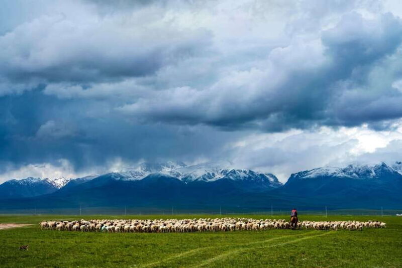 From Urumqi: 7-Day Silk Road Tour with Kashgar and Turpan - The Authenticity and Value of This Journey