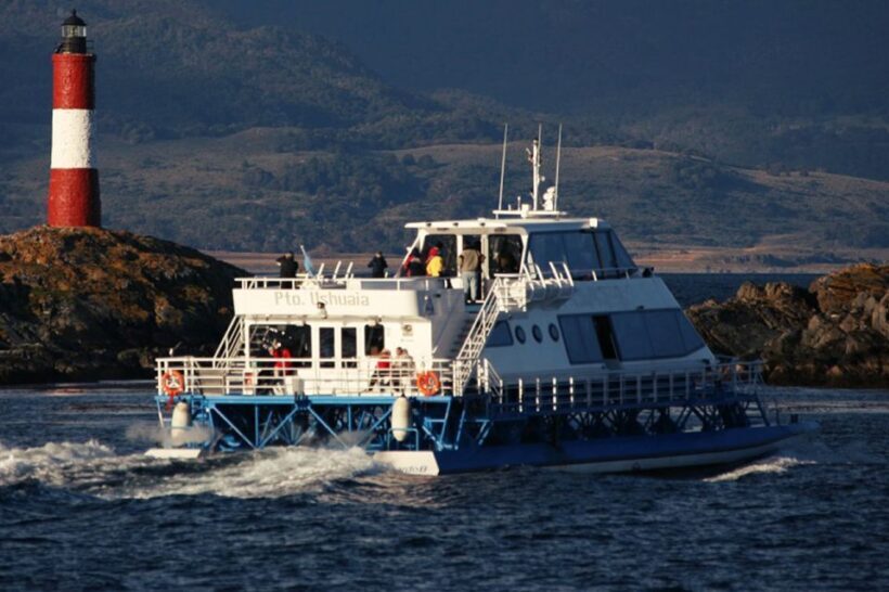 From Ushuaia: Beagle Channel Catamaran Tour - Who Will Love This Tour?
