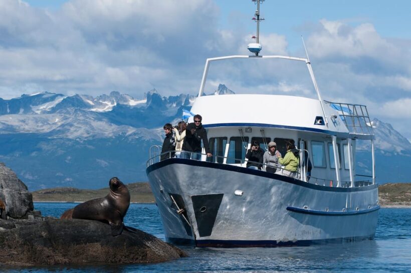 From Ushuaia: Beagle Channel Yacht Sailing Tour - Who Will Love This Tour?