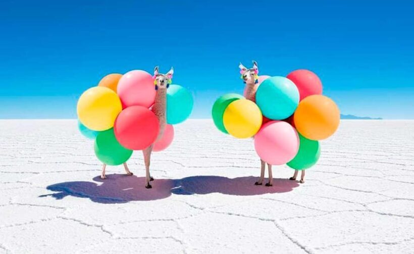 From Uyuni: 1-Day Uyuni Salt Flats and Incahuasi Island - Final Word