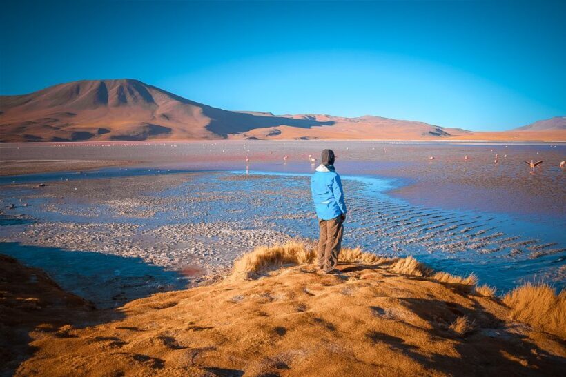 From Uyuni: 3-Day Tour to San Pedro with Salt Flats Visit - Who Will Love This Tour?