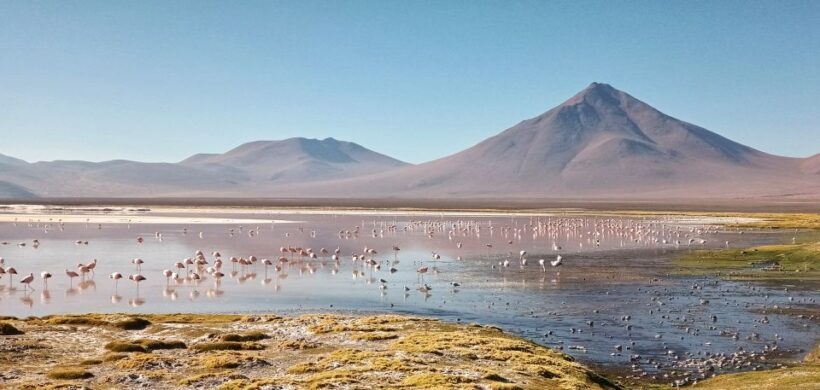 From Uyuni: Private Day trip Laguna Colorada. - What We Like About This Tour