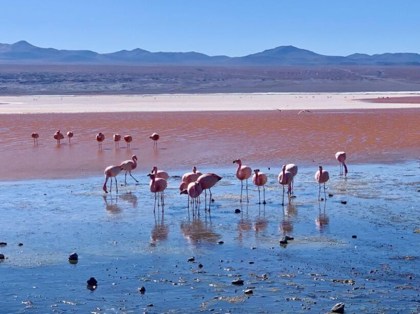 from Uyuni: Uyuni Salt Flat 3 Days - Key Points