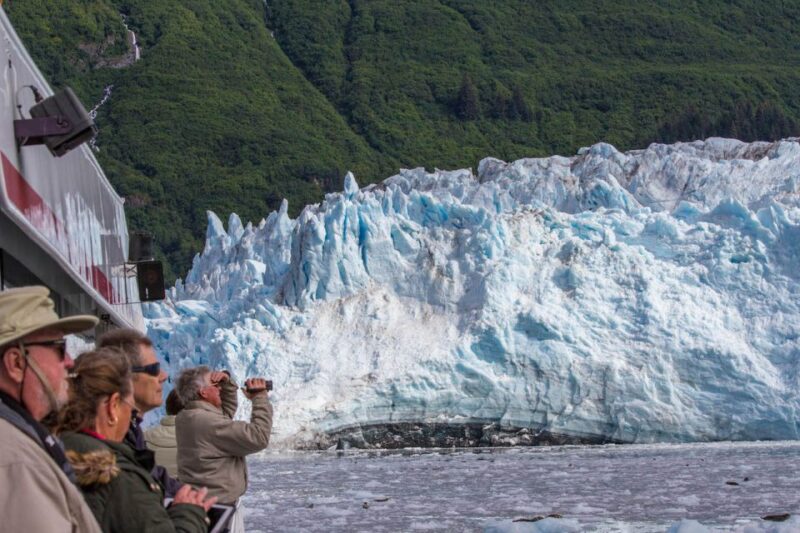 From Valdez: 7.5-hour Meares Glacier & Wildlife Cruise - Authentic Experiences and Authentic Views