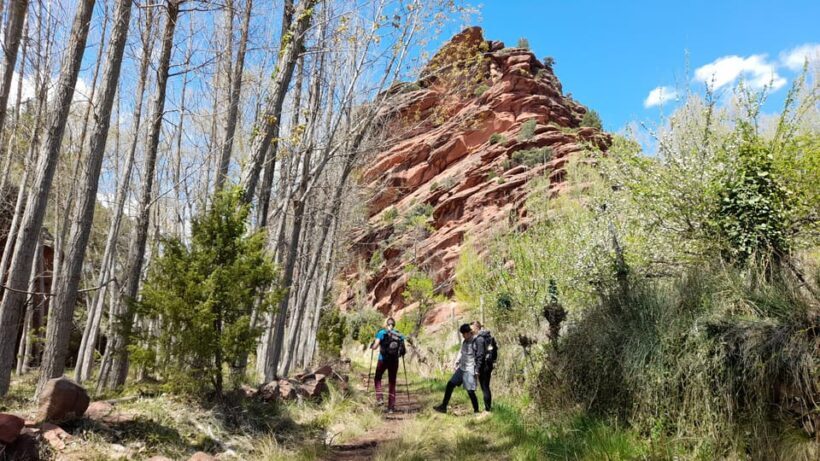 From Valencia: 3-day Trip to Albarracín - The Sum Up: Is This Tour Worthwhile?