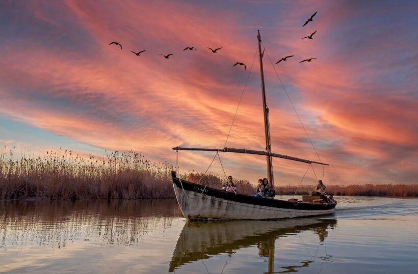 From Valencia: Albufera Day Trip with Boat Tour and Transfer - Key Points