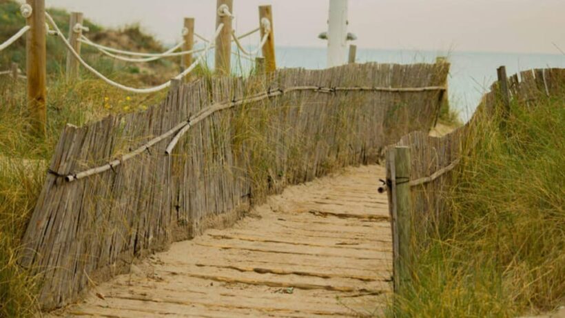 From Valencia: Albufera Day Trip with Boat Tour and Transfer - Final Thoughts: Who Will Love This Tour?