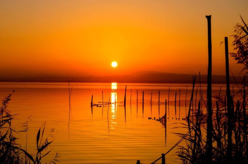 From Valencia: Albufera Natural Park with Sunset Boat Tour - Key Points
