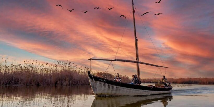 From Valencia: Albufera Natural Park with Sunset Boat Tour - A Closer Look at the Tour