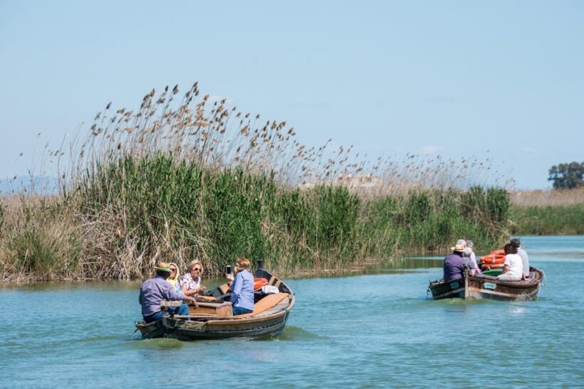 From Valencia: Albufera Private Tour, Paella & Boat Ride - Final Thoughts: Is It Worth It?