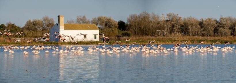 From Valencia: Albufera Private Tour, Paella & Boat Ride - FAQs