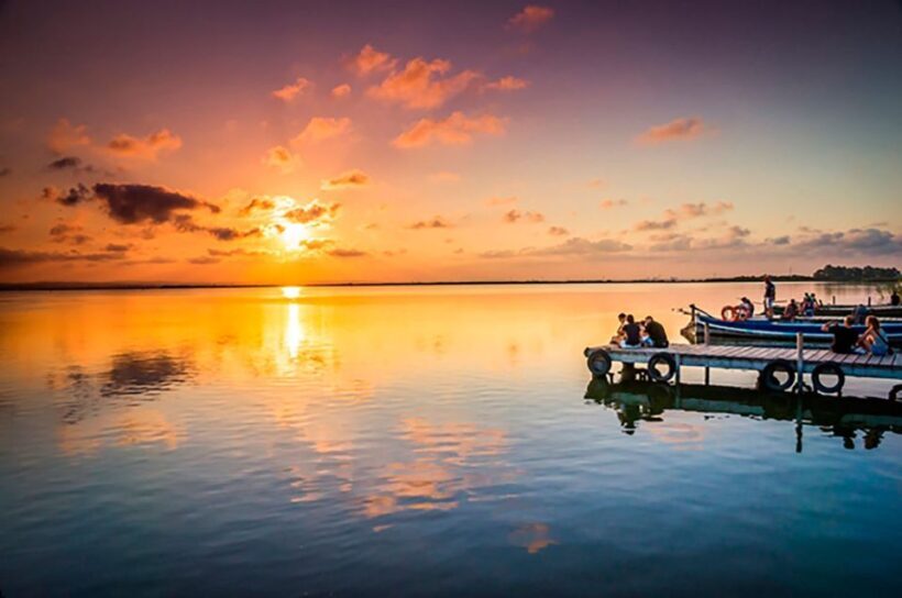 From Valencia: Cullera Old Town and Albufera Natural Park - The Sum Up: Who Is This Tour Best For?