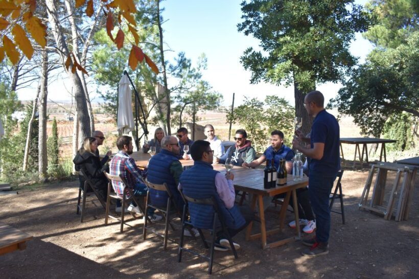 From Valencia: Guided Cheese Factory Tour with Wine Tasting - Authenticity and Traveler Perspectives