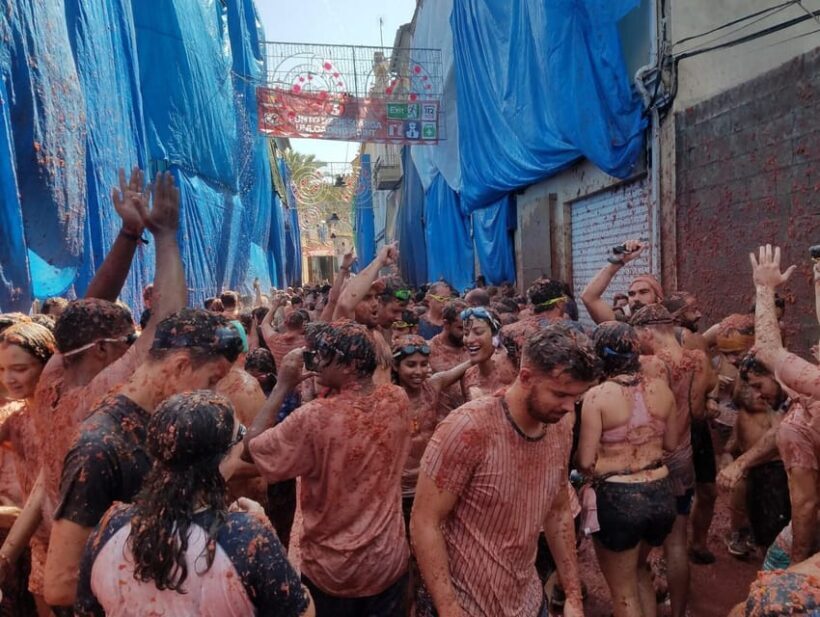 From Valencia: La Tomatina 2025 - An In-Depth Look at the La Tomatina Tour from Valencia