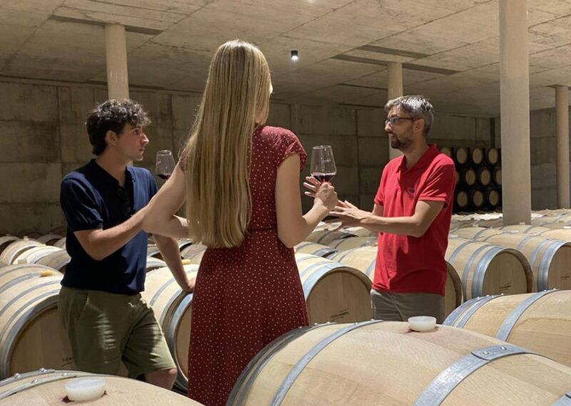 From Valencia: Requena Wine Tour with Tastings - Final Thoughts: Who Should Book This Experience?