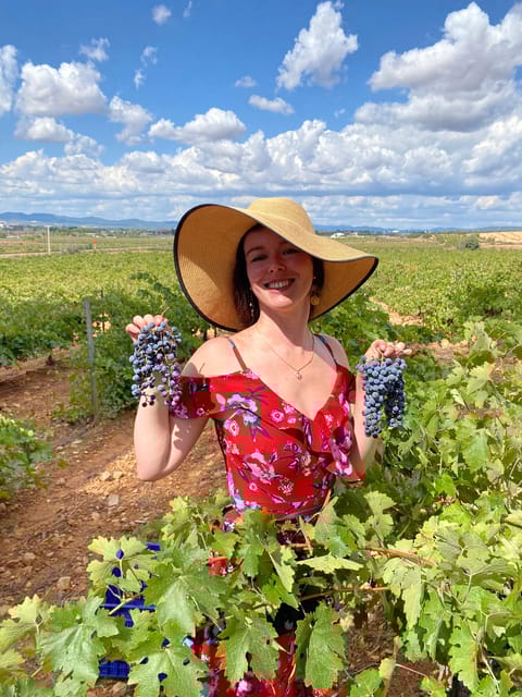 From Valencia: Utiel-Requena Wine Tour and Traditional Lunch - A Detailed Look at the Experience