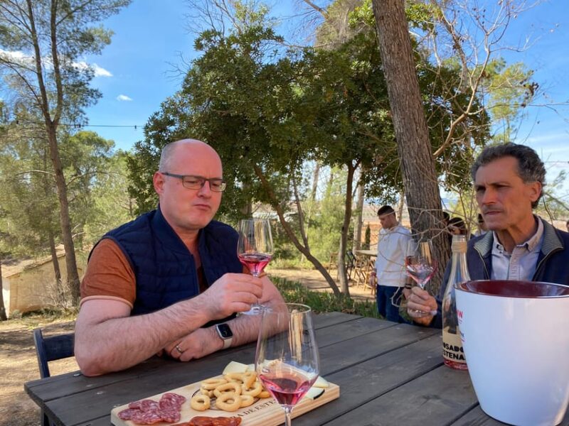From Valencia: Utiel-Requena Wine Tour and Traditional Lunch - Analyzing the Value