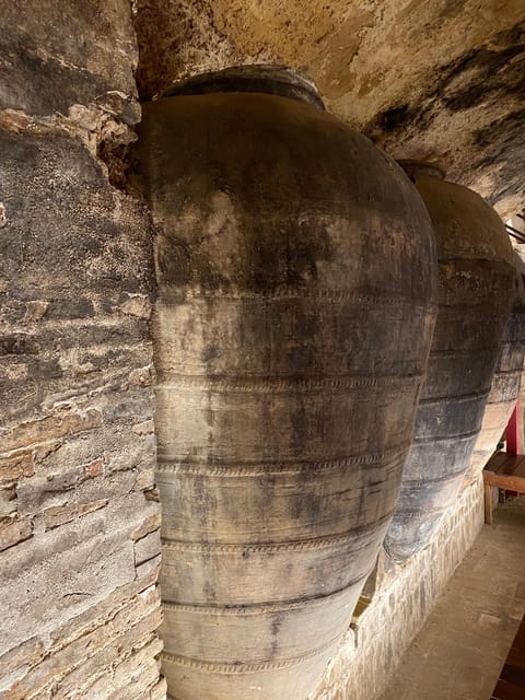 From Valencia: Utiel-Requena Wine Tour and Traditional Lunch - Final Thoughts