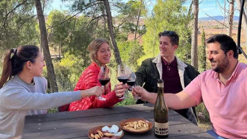 From Valencia: Wine Tasting + Nature exploration - Authentic Experiences and Traveler Insights