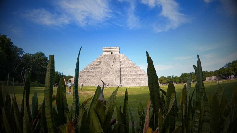 From Valladolid Chichén Itzá and 2 Cenotes (shared transportation) - Why This Tour Stands Out