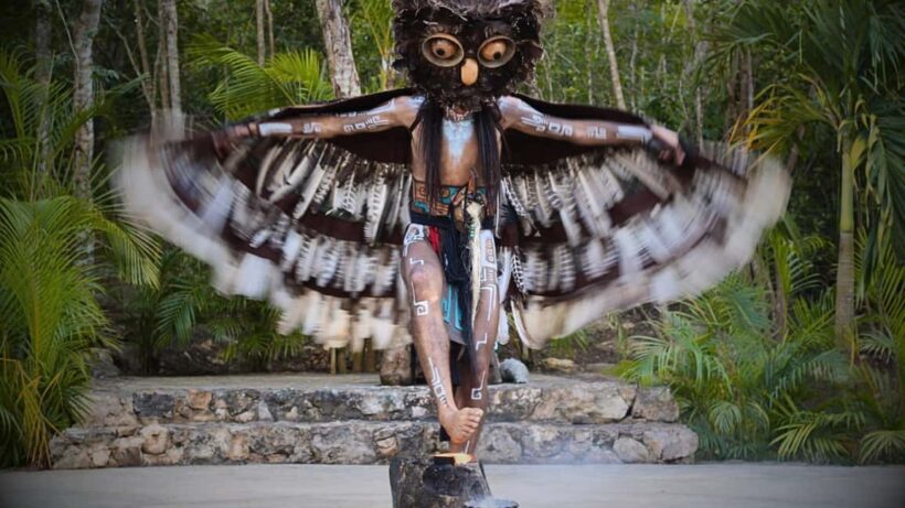 From Valladolid Chichén Itzá and 2 Cenotes (shared transportation) - Authentic Experiences and Local Touches