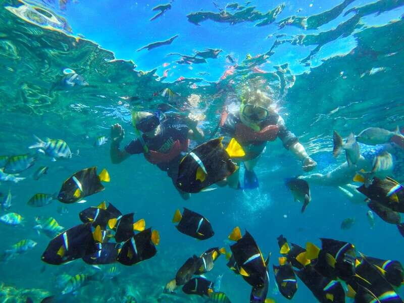 From Vallarta: Marietas Islands & Beach BBQ at Majahuitas - Key Points