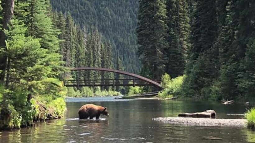 From Vancouver: 3-Day Tour to Manning Park, Nelson & Osoyoos - The Value Proposition