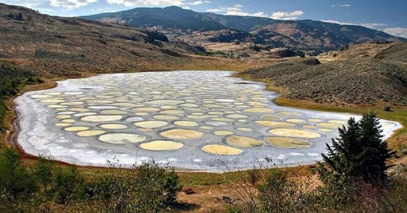 From Vancouver: 3-Day Tour to Manning Park, Nelson & Osoyoos - FAQs