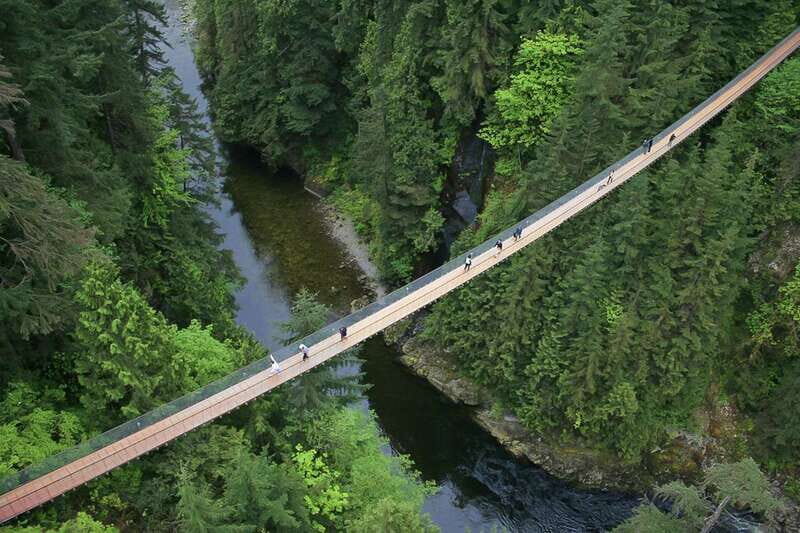 From Vancouver: Capilano Suspension Bridge & Grouse Mountain - Capilano Fish Hatchery: Learning About Salmon