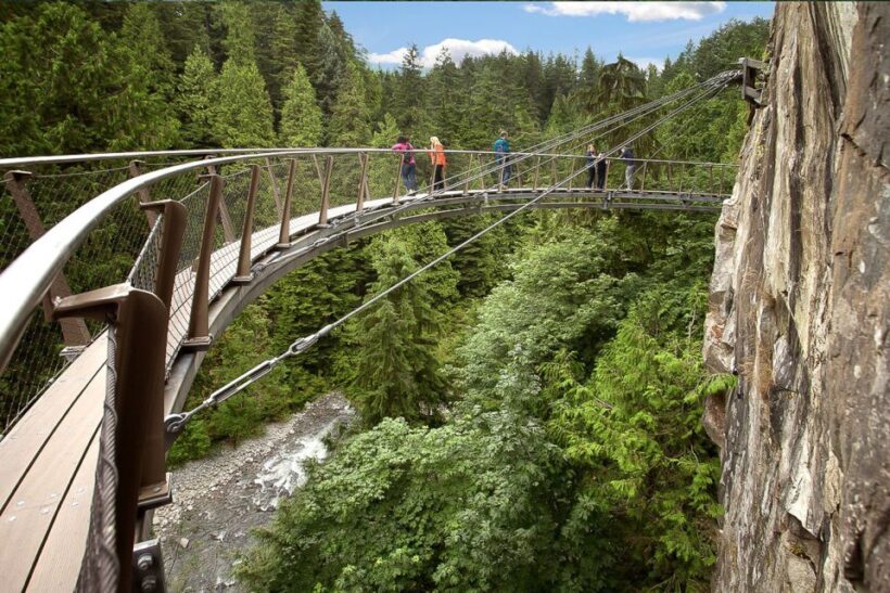 From Vancouver: Capilano Suspension Bridge & Grouse Mountain - The World’s Largest Suspension Footbridge