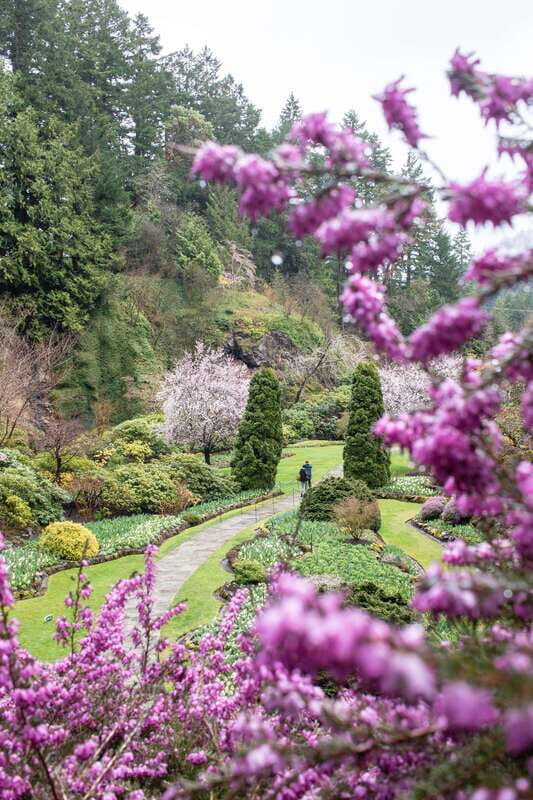 From Vancouver: Victoria, BC Ferry, Butchart Gardens Tour - Who Will Love This Tour?
