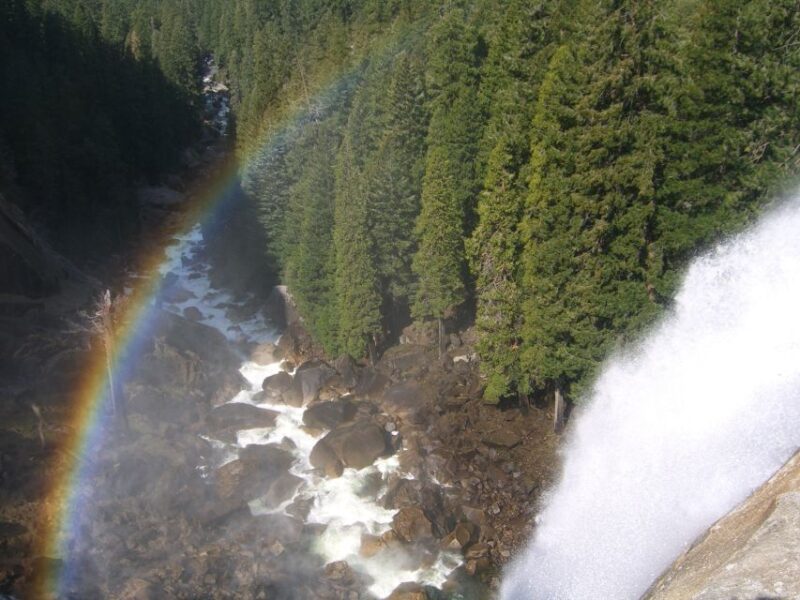 From Vegas: Yellowstone, Yosemite, and Rockies 11-Day Tour - What Makes This Tour Stand Out?