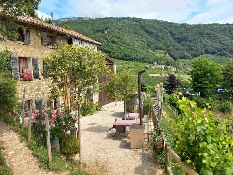 From Venice and Treviso: Prosecco Hills Wine and Food Tour - Key Points