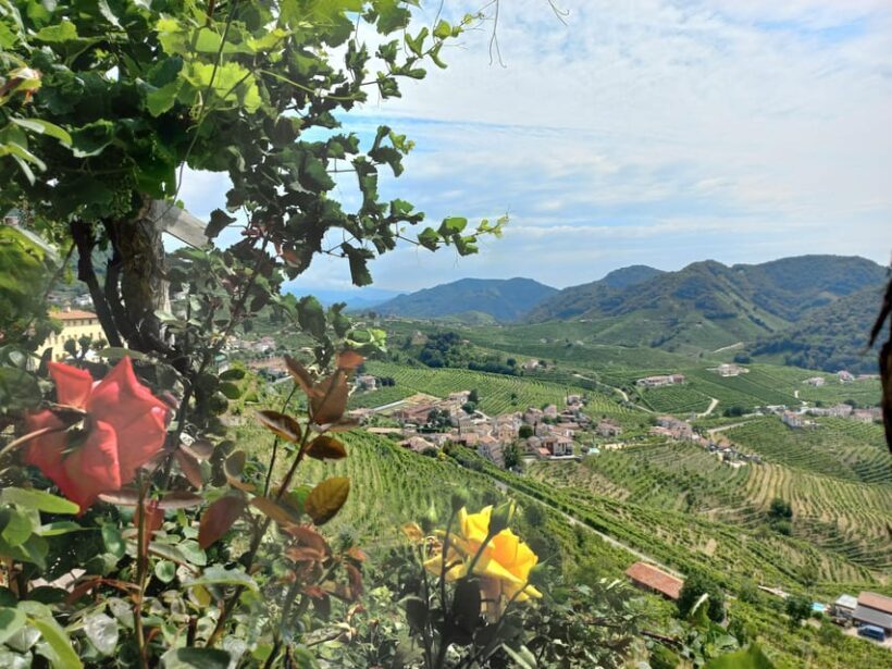 From Venice and Treviso: Prosecco Hills Wine and Food Tour - Exploring the Itinerary in Detail