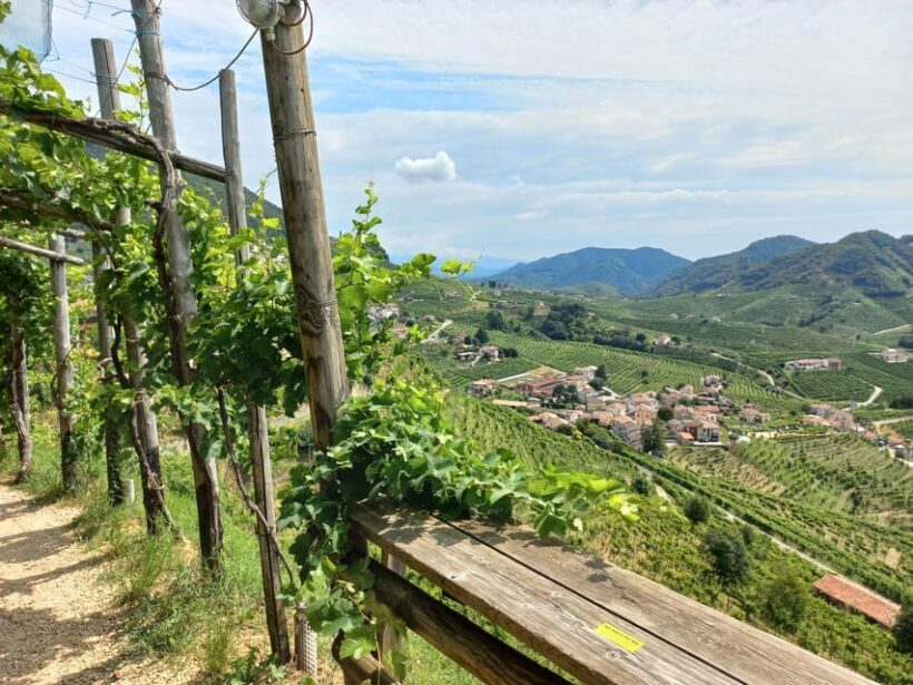 From Venice and Treviso: Prosecco Hills Wine and Food Tour - FAQs