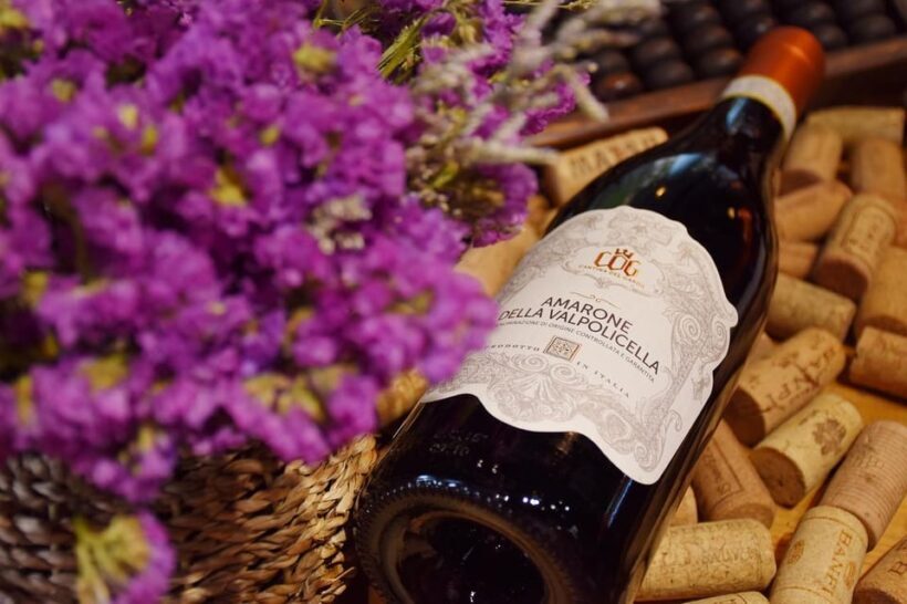 From Venice: day trip to Amarone and Prosecco wine regions - An In-Depth Look at the Veneto Wine Day Trip