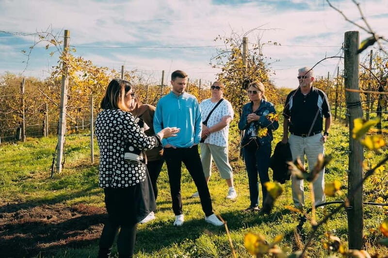 From Venice: Prosecco Hills and Wine Tasting Tour - Key Points